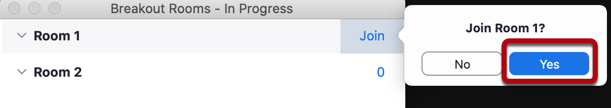 Zoom Participant Controls – CTE Resources