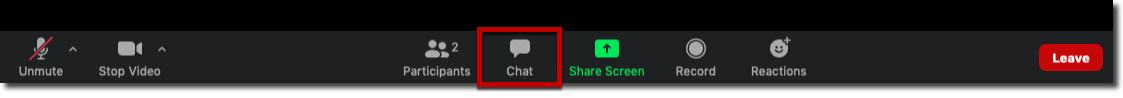 Zoom Participant Controls – CTE Resources