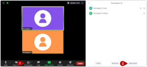 Zoom Participant Controls – CTE Resources