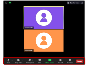 Zoom Participant Controls – CTE Resources