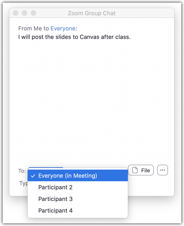 Facilitating Student Participation on Zoom – CTE Resources