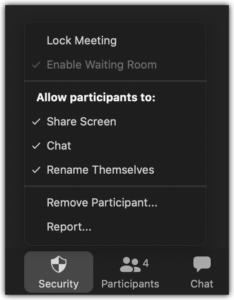 Navigating Zoom – CTE Resources
