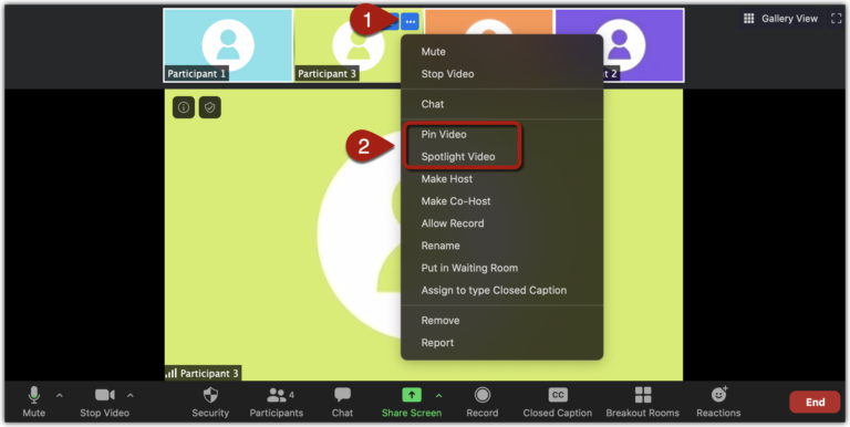 Navigating Zoom – CTE Resources