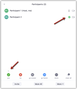 Facilitating Student Participation on Zoom – CTE Resources
